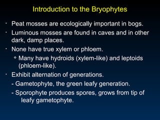 Nonvascularplants | PPT