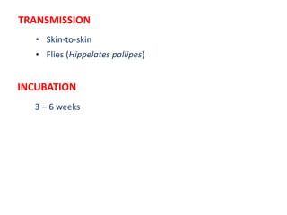 Non Venereal Treponematosis | PPTX