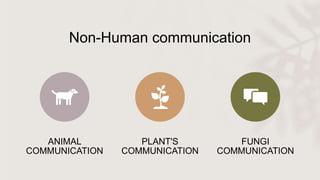 Non verbal comminication | PPTX