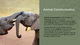 Non verbal comminication | PPTX