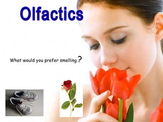 Non Verbal Communication | PPT