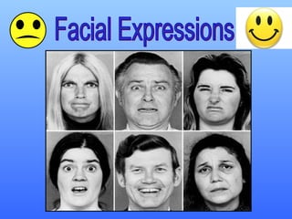 Non Verbal Communication | PPT