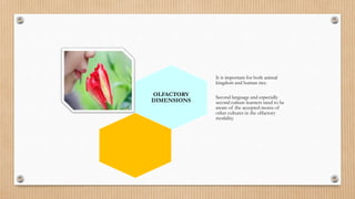 Nonverbal communication | PPT