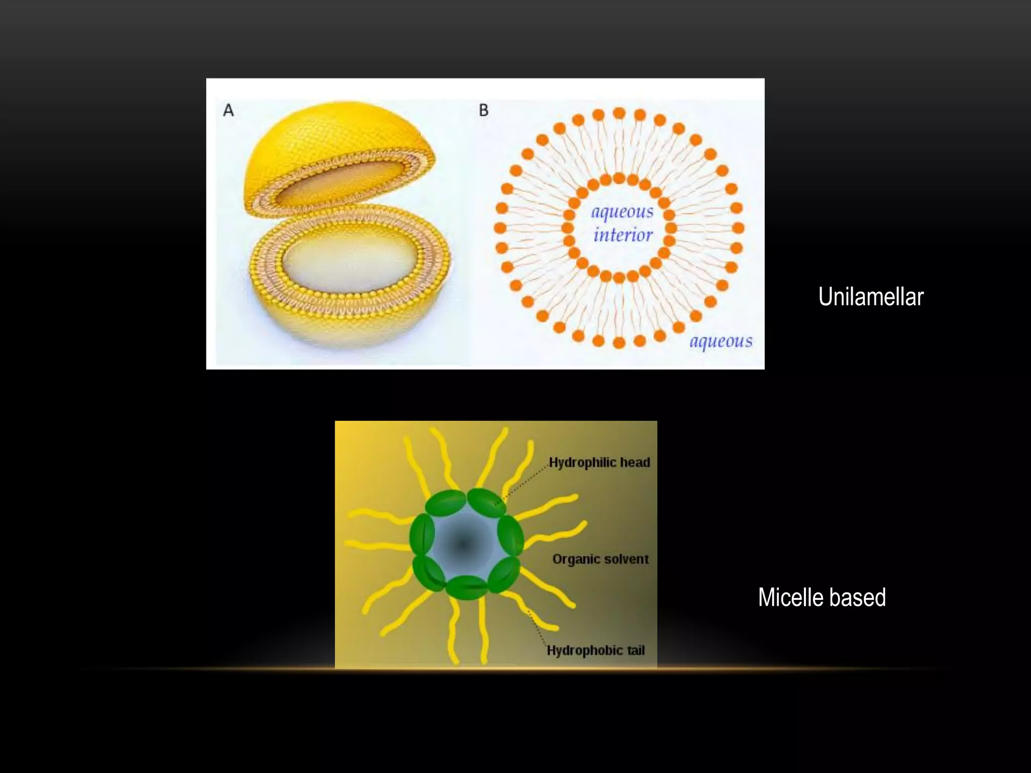 Non viral delivery systems for gene therapy (1) | PDF