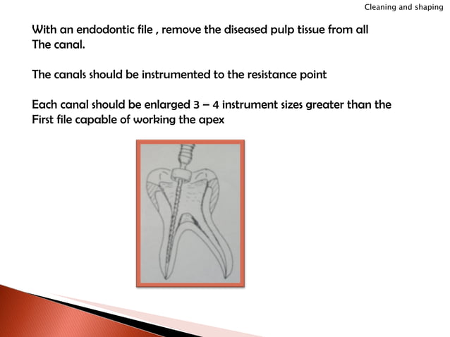 Nonvital pulp therapy in pediatric dentistry | PPT | Dental Health ...
