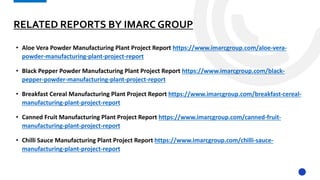Noodles Manufacturing Plant Project Report.pptx