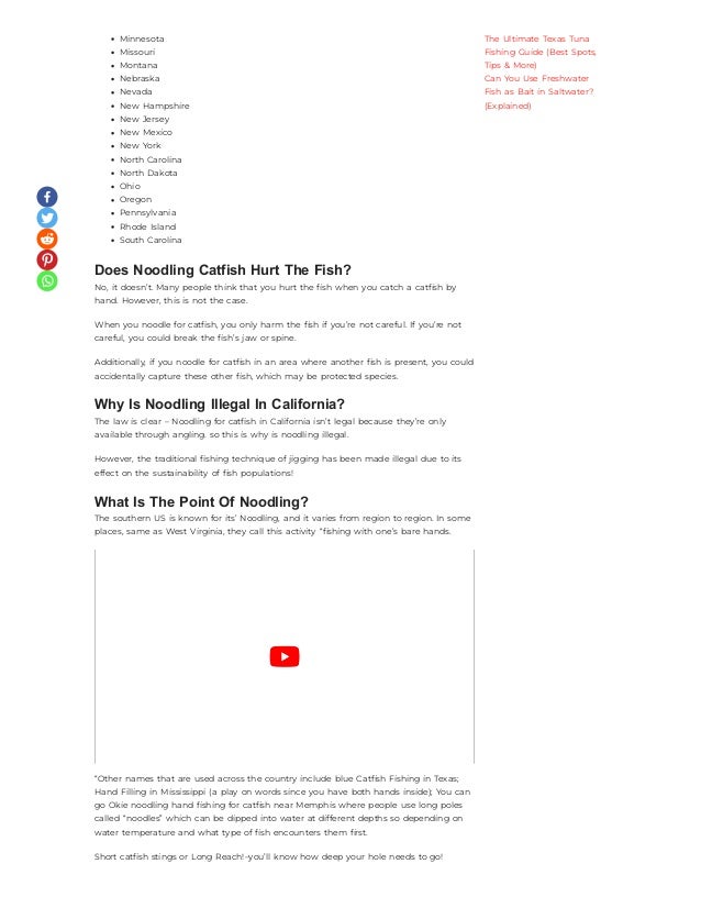 Why Is Catfish Noodling Illegal? | PDF