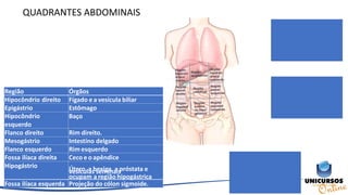 Noçoes de Anatomia e Fisiologia.vunesp.tec 22.pptx