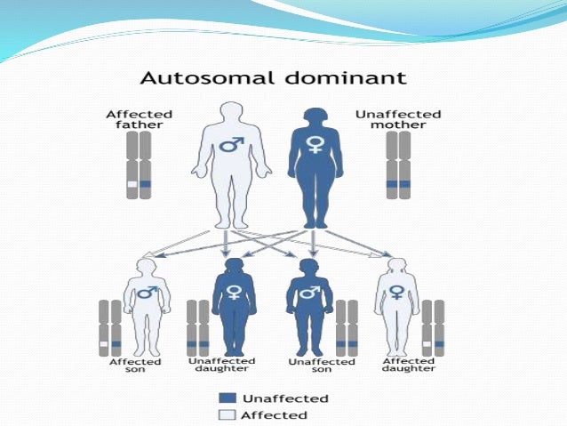 Noonan Syndrome Chromosome Number – MFTZTR