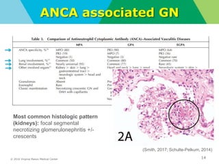 Noon conference 8-16 | PPTX | Blood Disorders | Diseases and Conditions