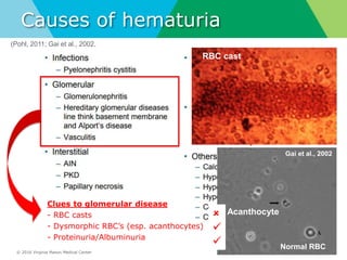 Noon conference 8-16 | PPTX | Blood Disorders | Diseases and Conditions