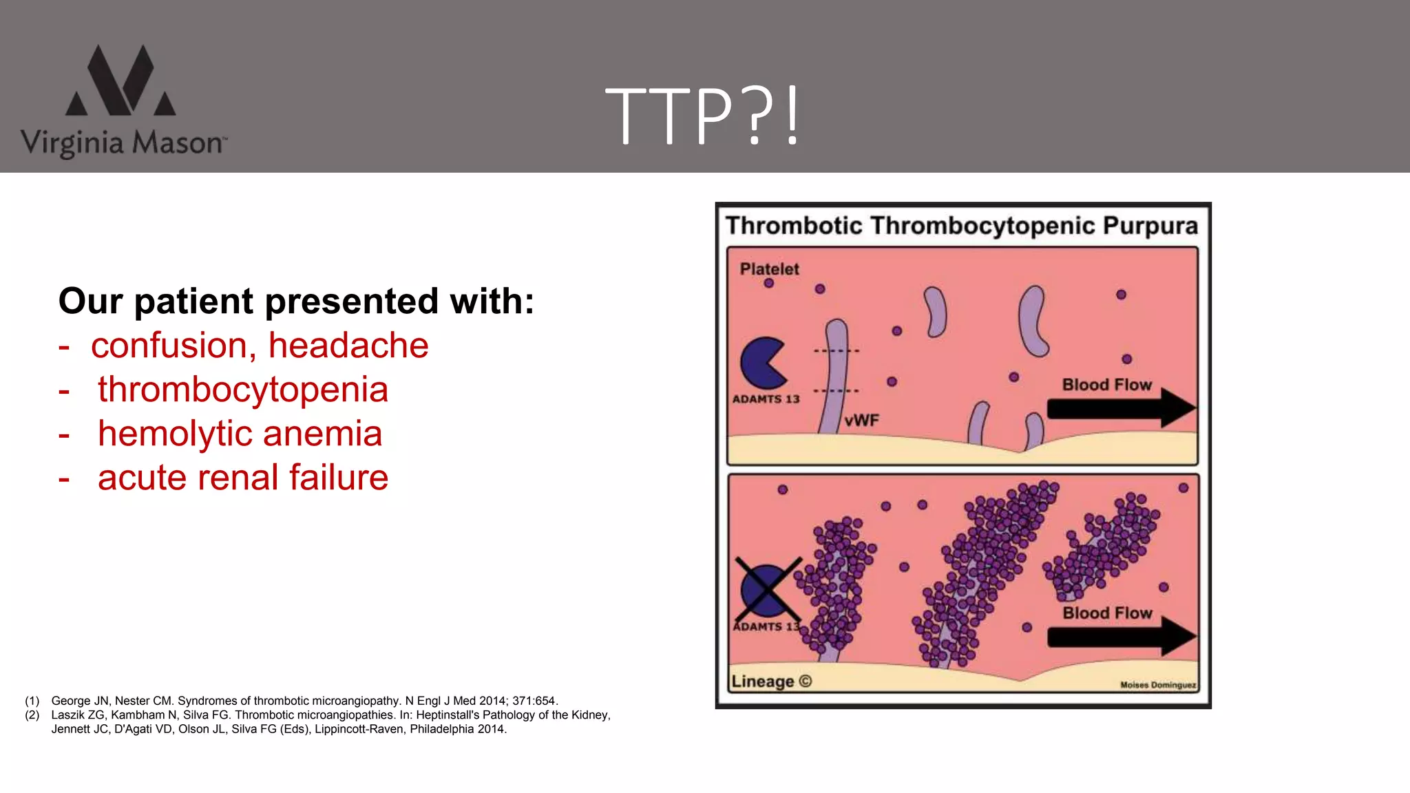 Noon conference 8 6 ko | PPT