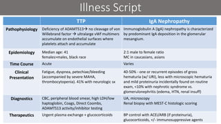 Noon conference 8 6 ko | PPT