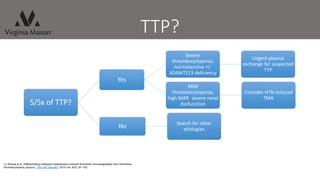 Noon conference 8 6 ko | PPT