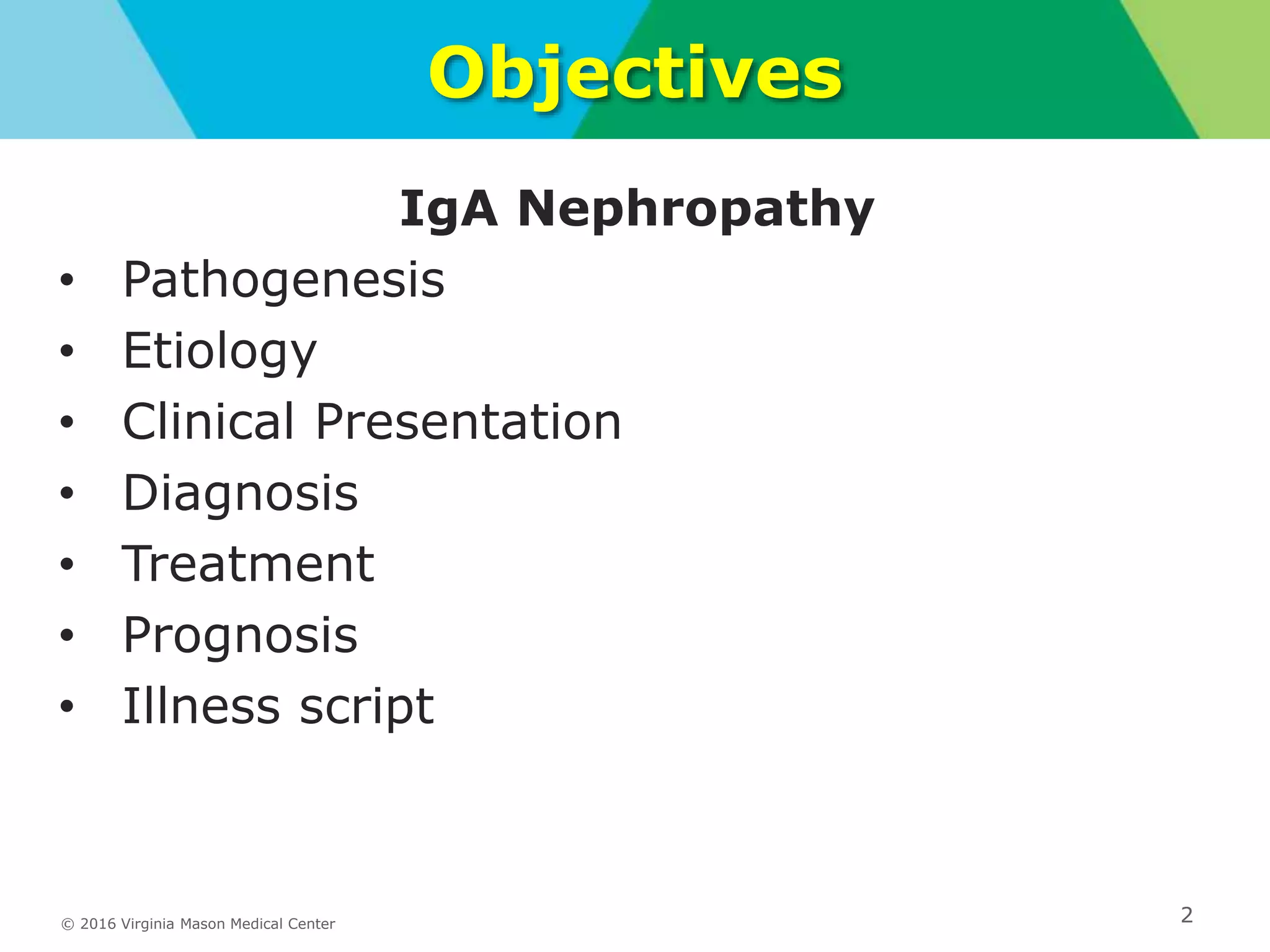 IgA Nephropathy | PPTX