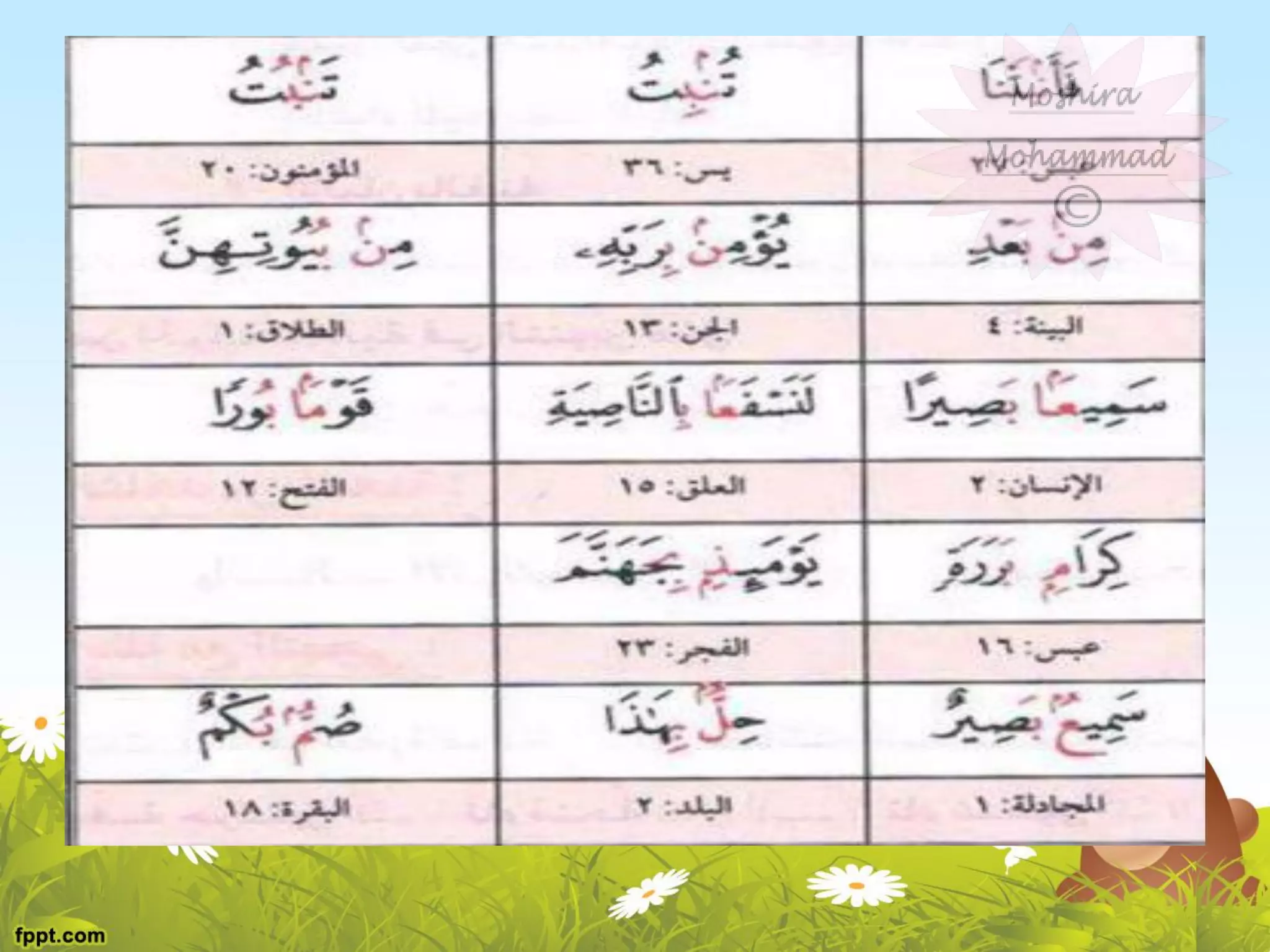 Noon sakinah and Tanween rules | PDF
