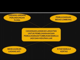 UNIT 16 : PEMELIHARAAN DAN PEMULIHARAAN TUMBUHAN SEMULA JADI DAN ...