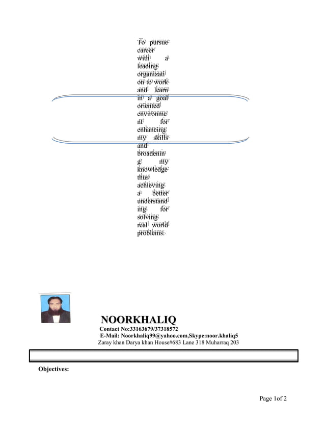 Noor cv | PDF