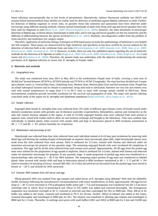 Molecular prevalence of babesia bigemina in rhipicephalus microplus ...