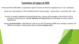Nitric oxide and its role in reproduction | PPT | Free Download