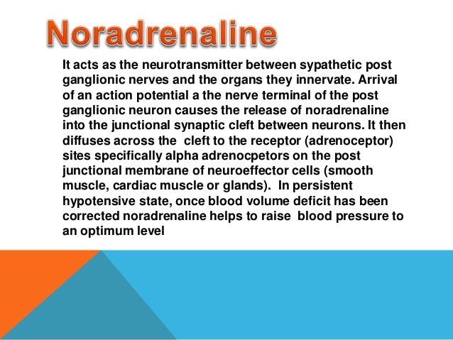 Noradrenaline
