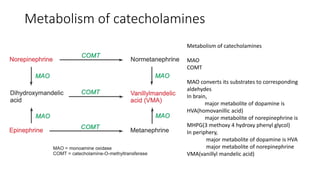 NORADRENALINE 222 .pptx