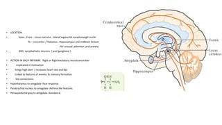 NORADRENALINE 222 .pptx