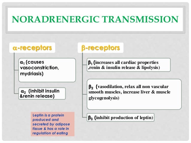 Noradrenergic transmission