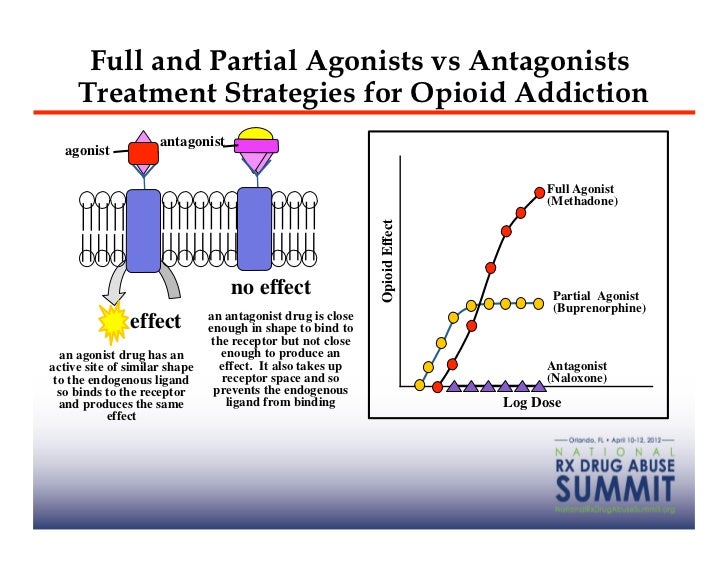 Nora Volkow final edits