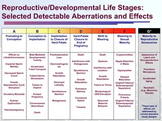 Current Regulatory Requirements in Developmental and Reproductive ...