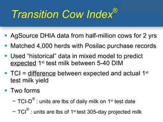 Optimizing Facilities for Transition Cow Success- Ken Nordlund | PPT