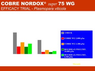 COPPER FUNGICIDE NORDOX grape topfruit.ppt