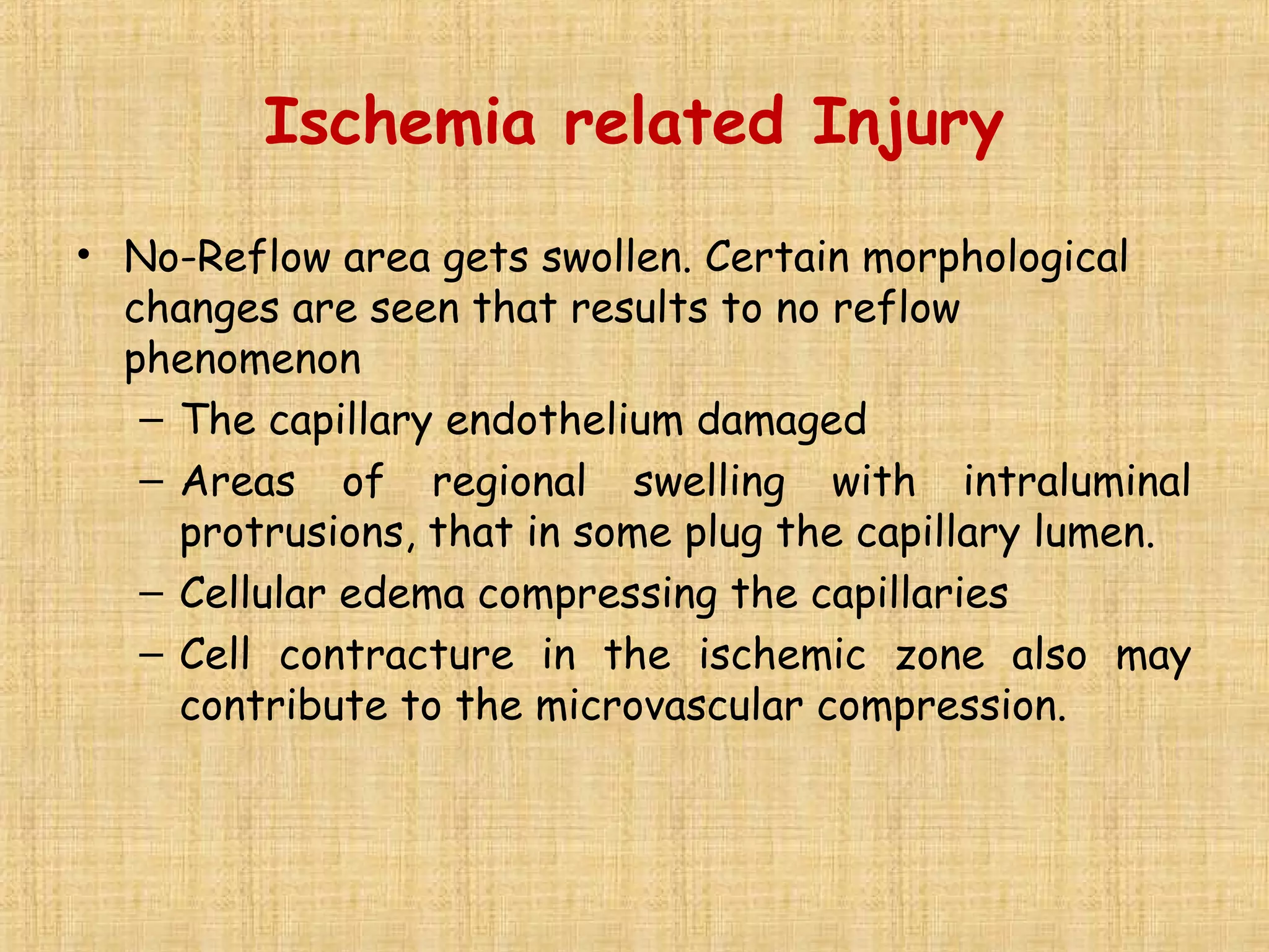 No reflow and slow flow phenomenon during pci | PPT