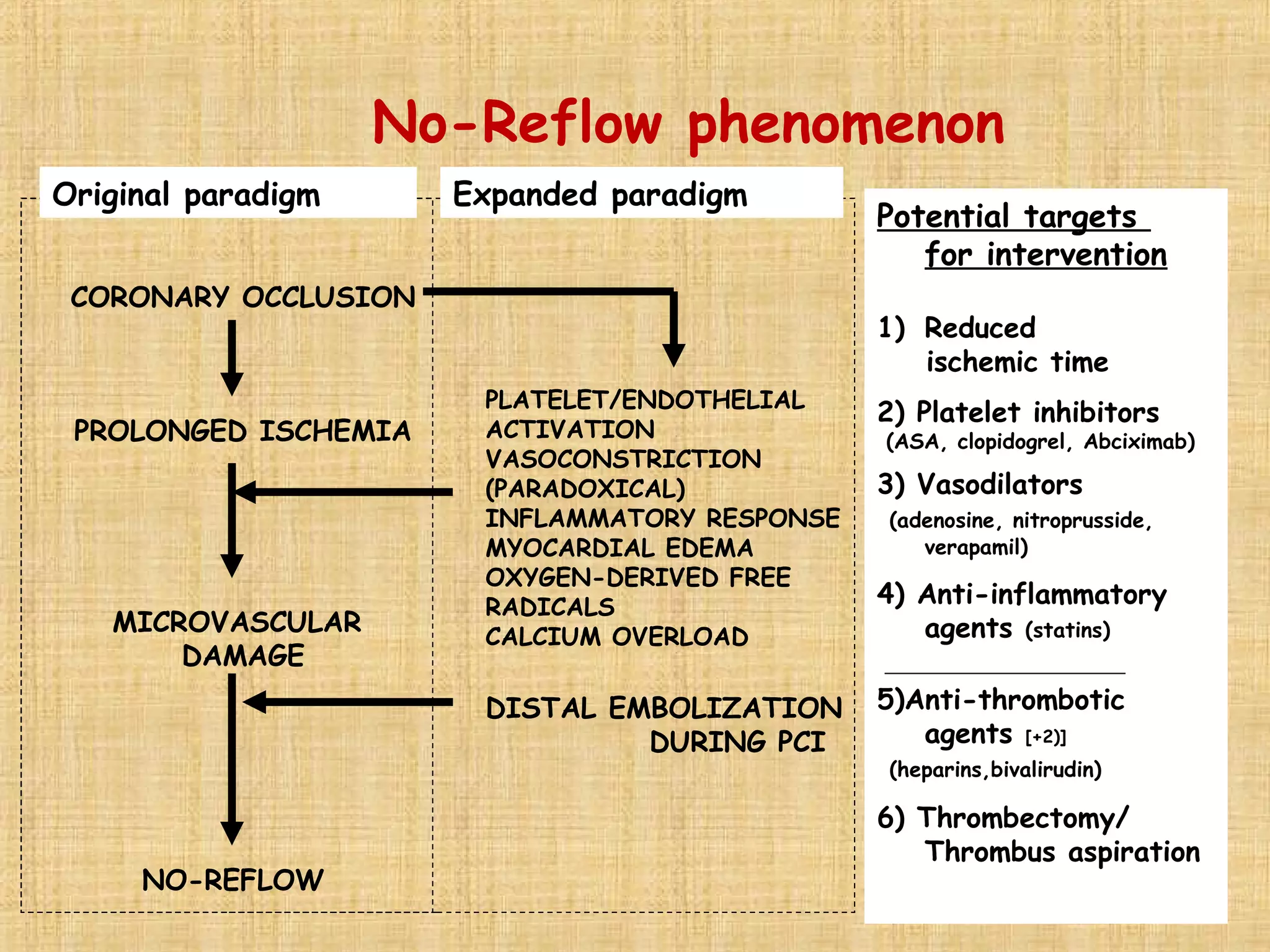 No reflow and slow flow phenomenon during pci | PPT