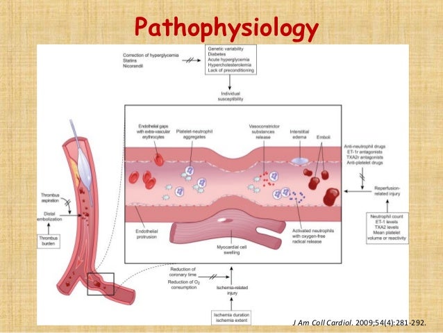 No reflow and slow flow phenomenon during pci