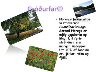 Noregur | PPTX
