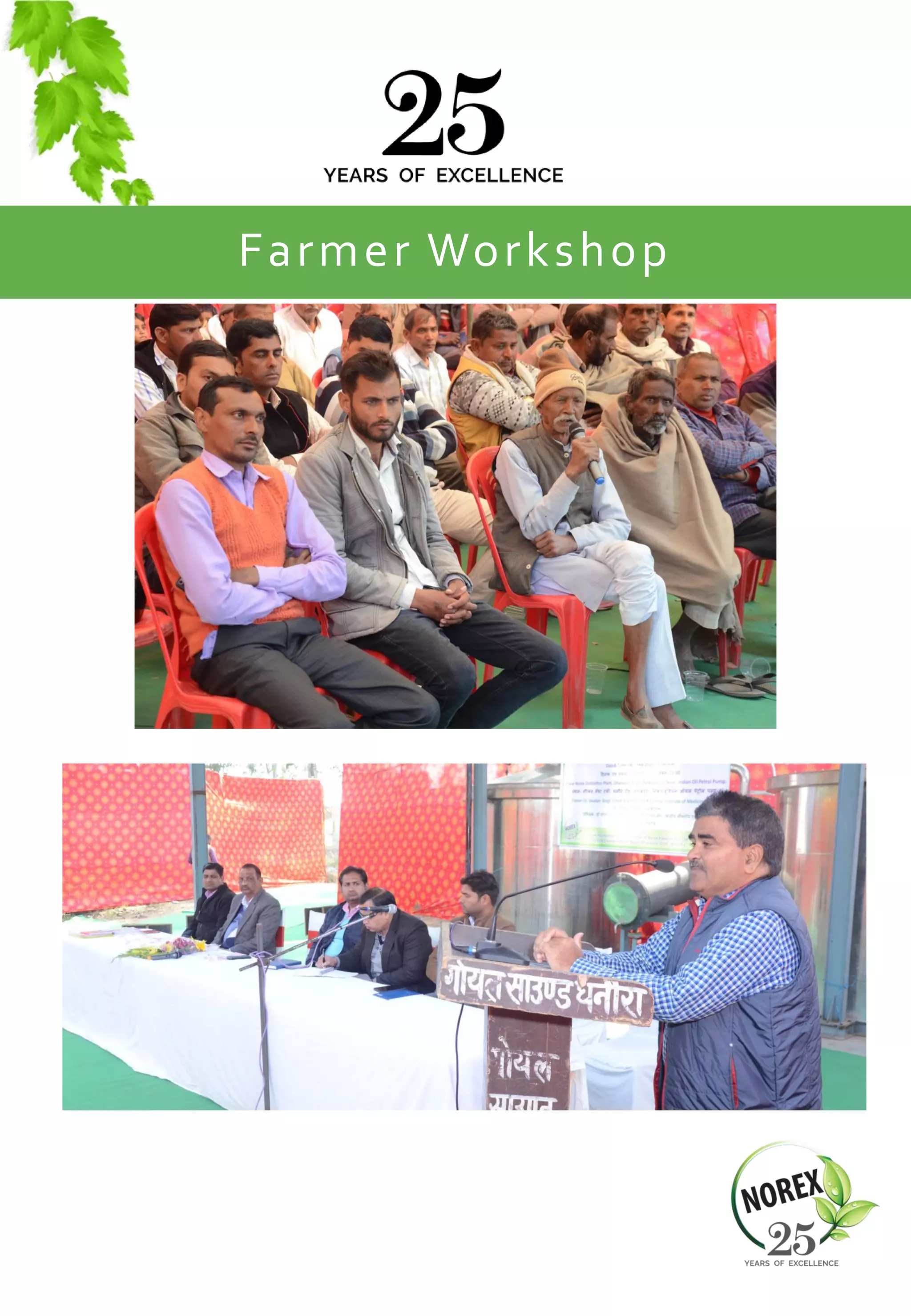 Norex newsletter january 2020 | PDF