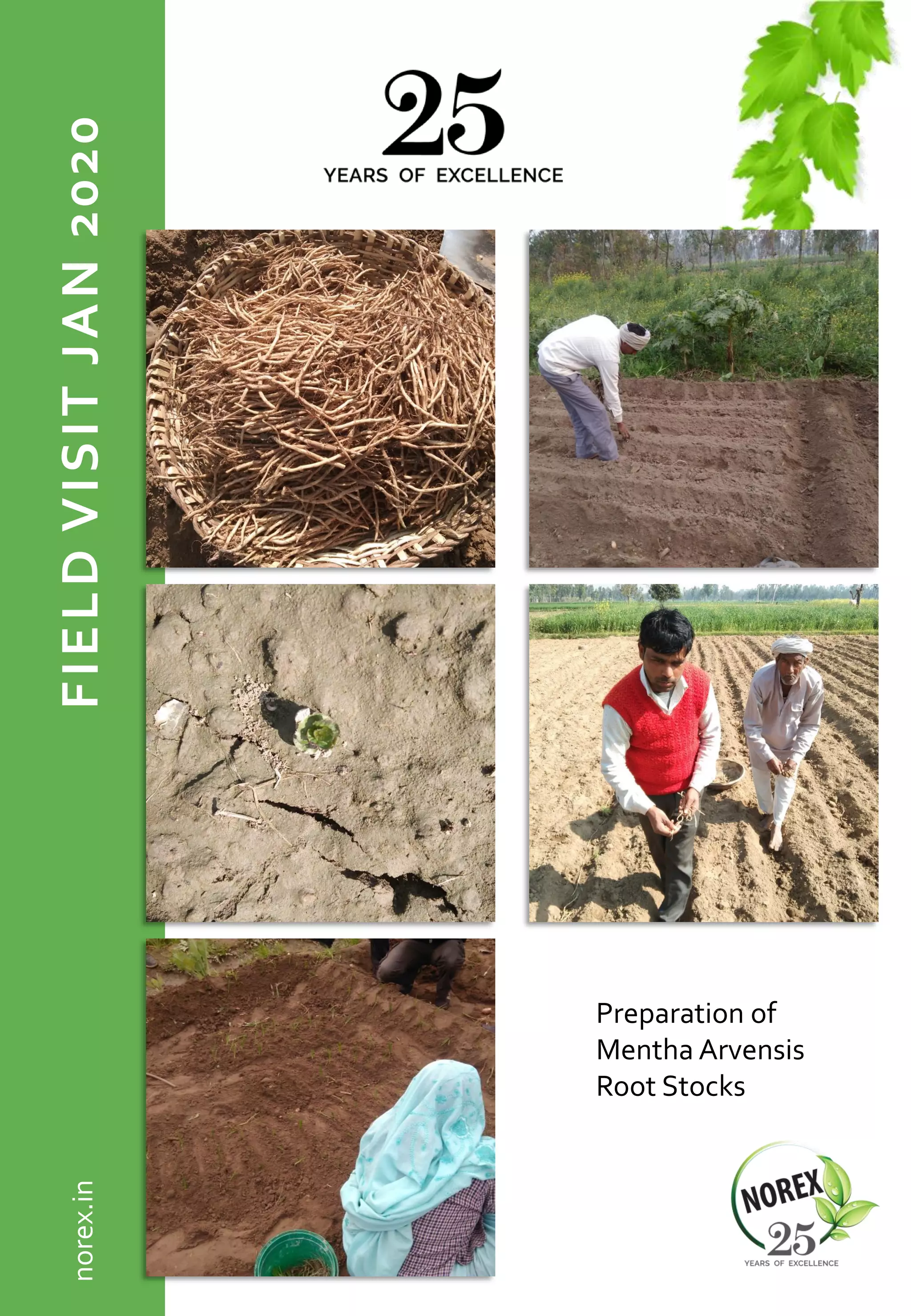 Norex newsletter january 2020 | PDF