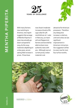 Norex newsletter january 2020 | PDF