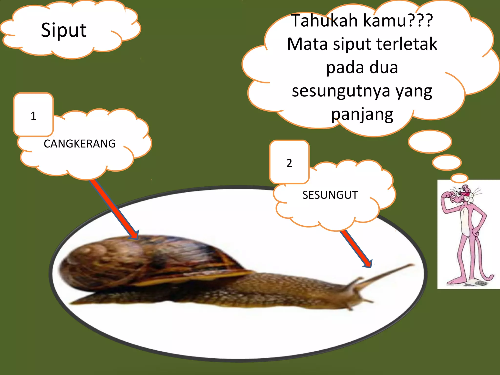 Norhana ghazali | PPT