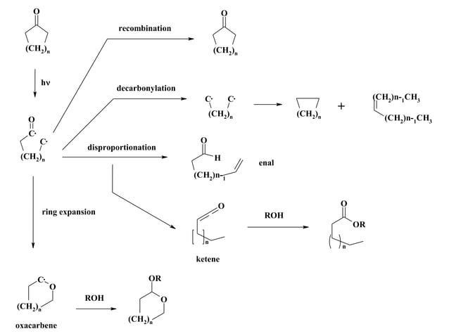 Norrish type 1 and 2 reactions | PPTX | Chemistry | Science