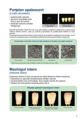 Noritake ex 3 - instructiuni tehnice | PDF