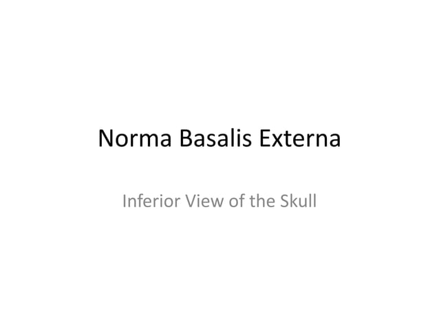 Norma basalis externa | PPTX | Death, Injury, or Military Conflict ...