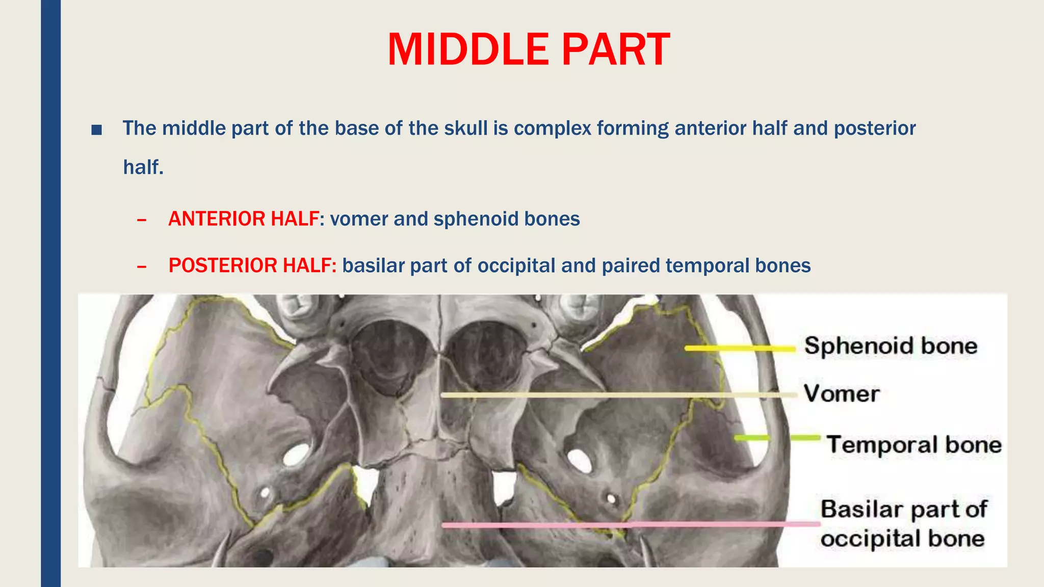 Normabasalis Final.pptx