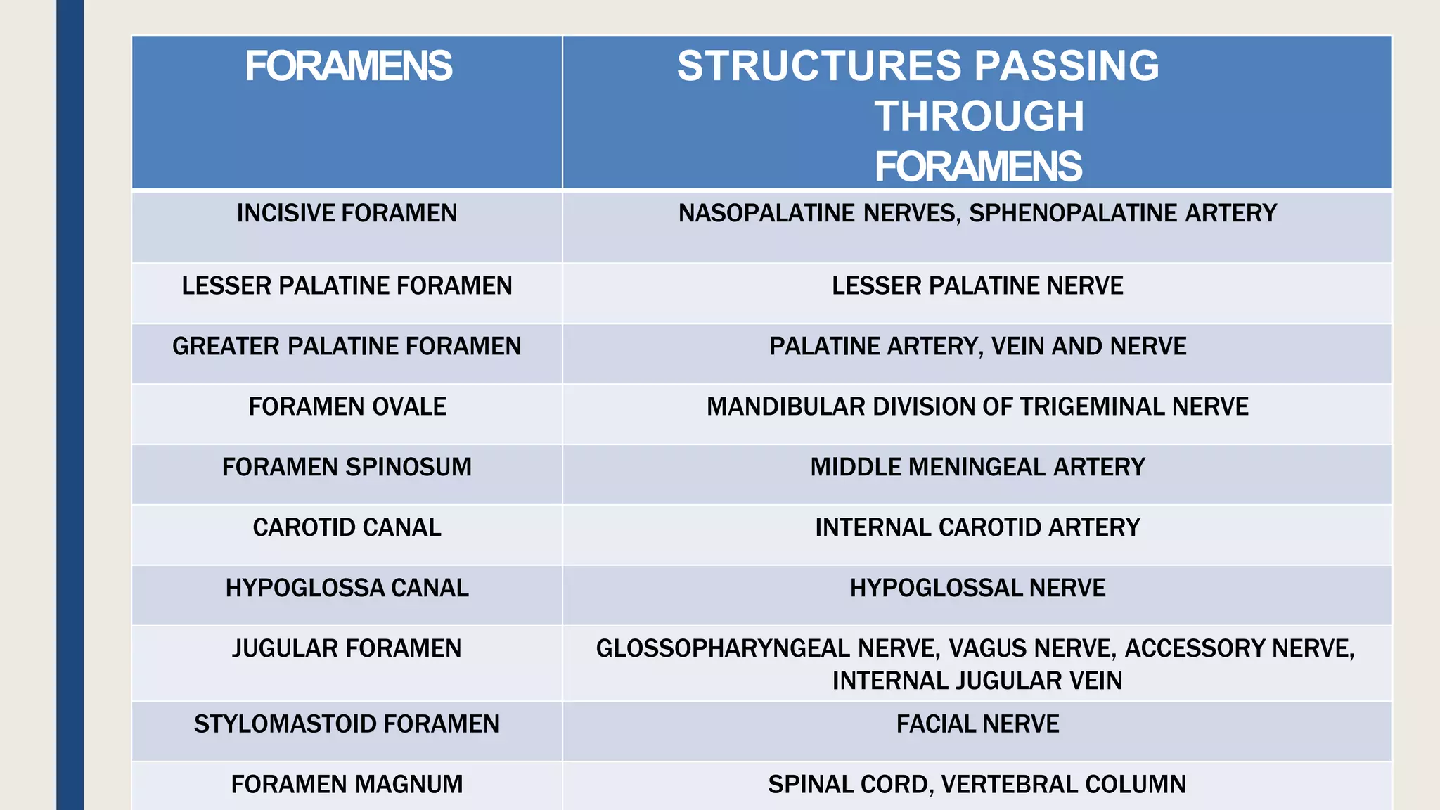 Normabasalis Final.pptx
