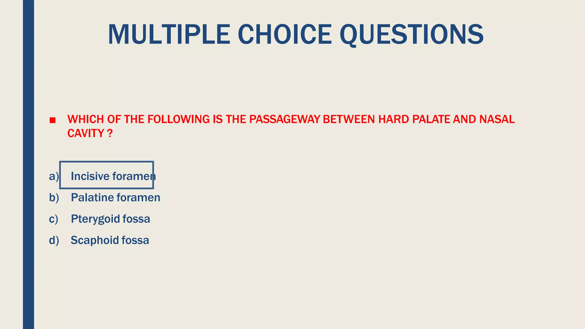 Normabasalis Final.pptx