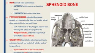 Normabasalis Final.pptx