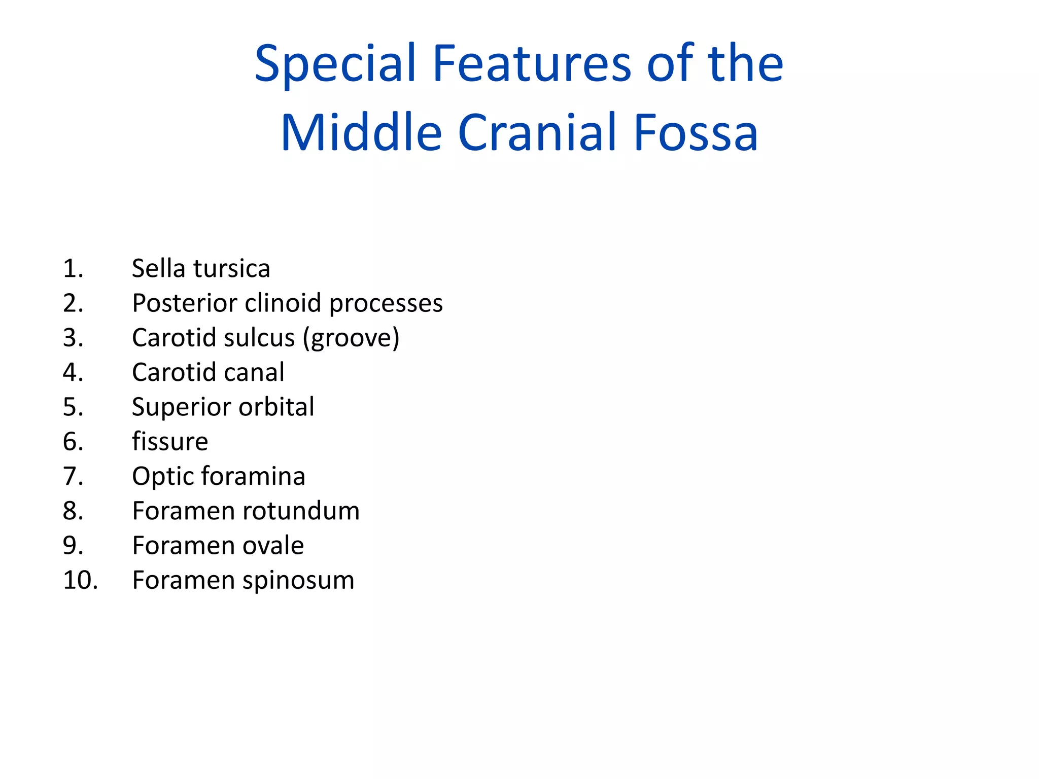 Norma basalis interna | PPTX