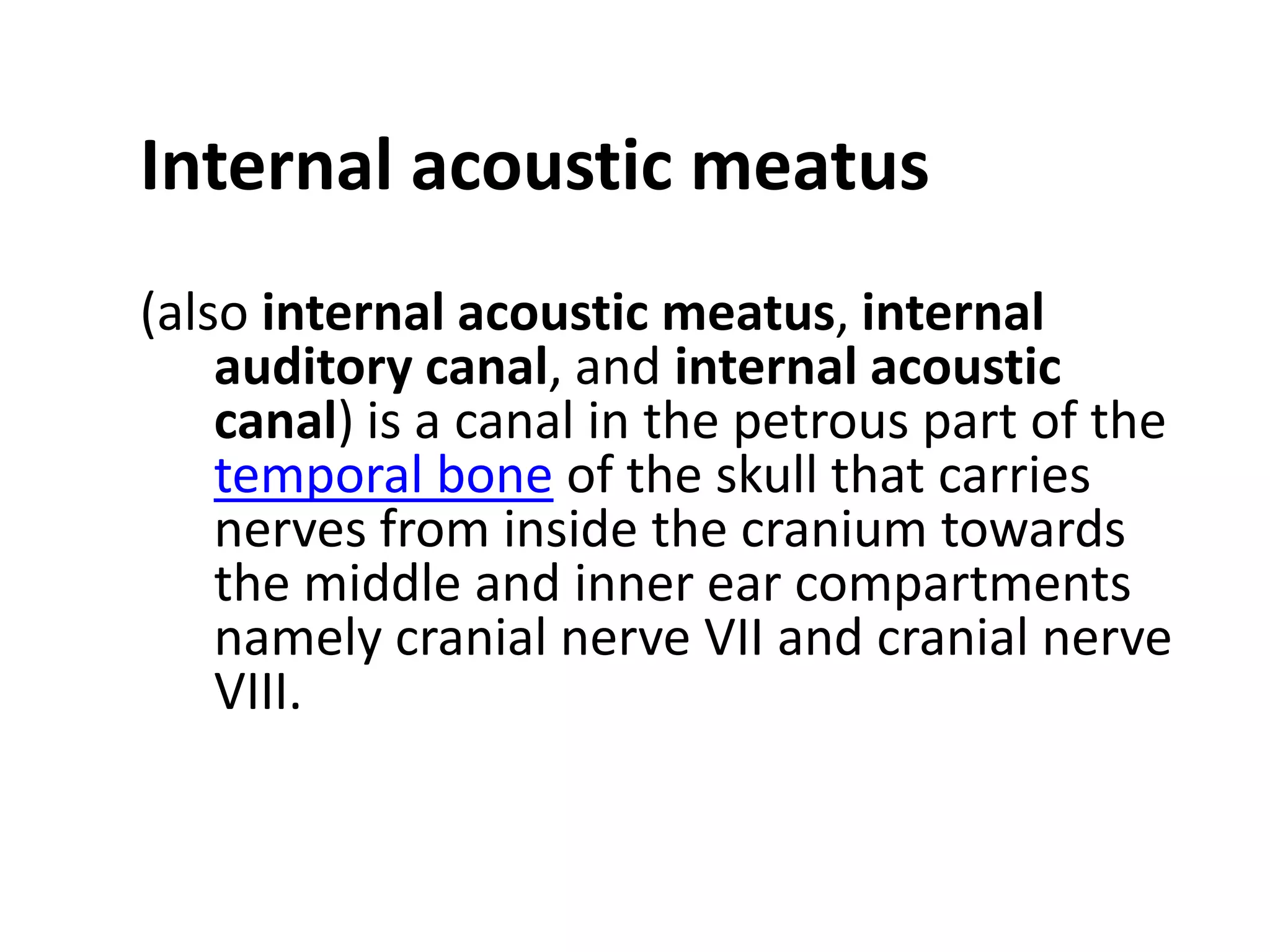 Norma basalis interna | PPTX