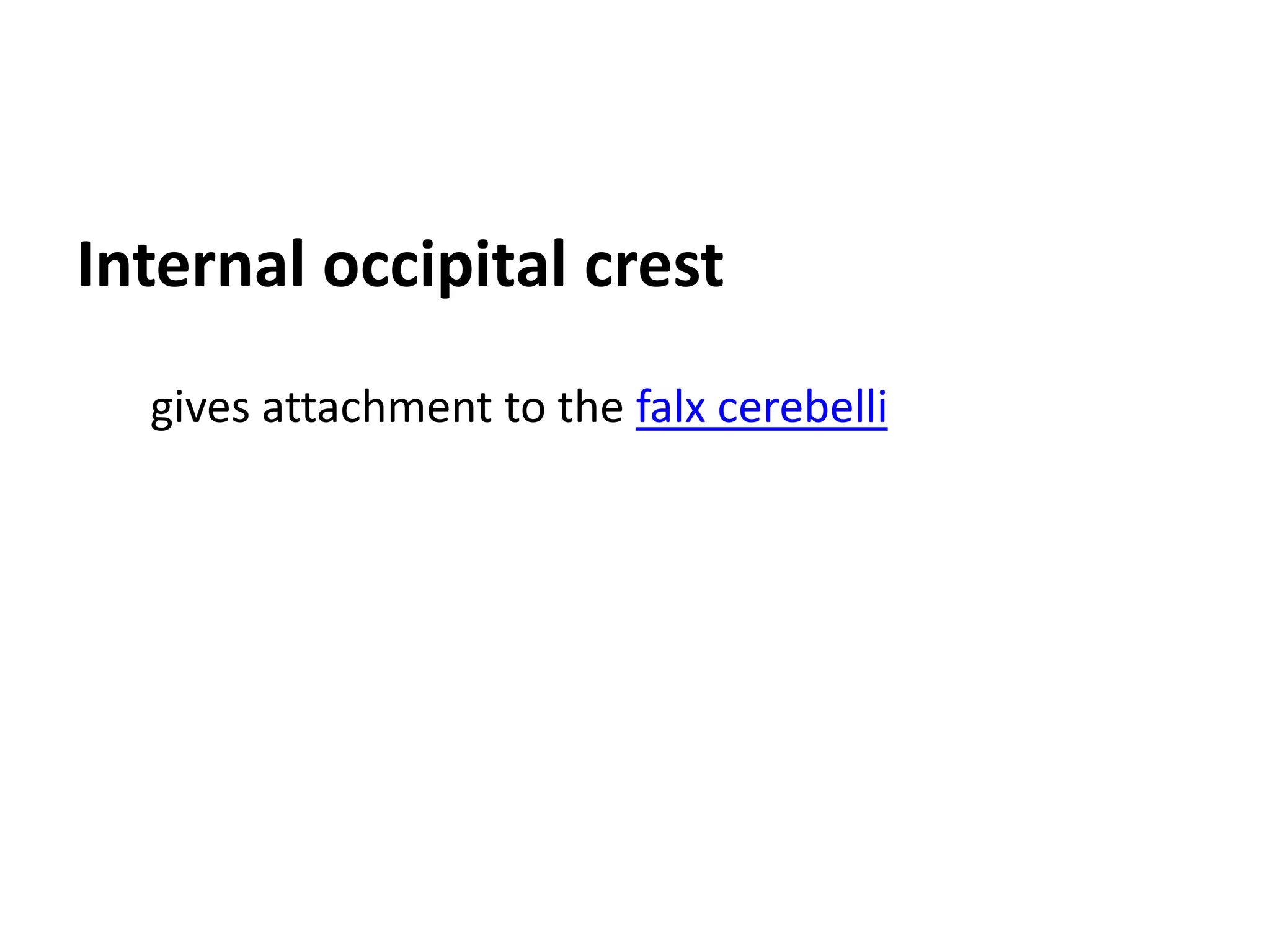 Norma basalis interna | PPTX